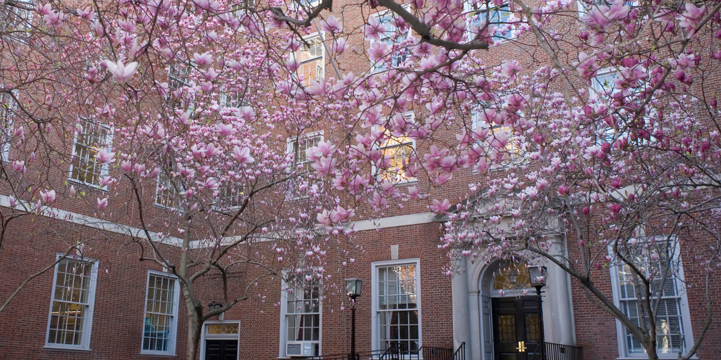 Why NYU Law | NYU School of Law