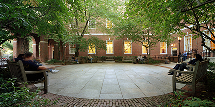 NYU Law is Going Green | NYU School of Law