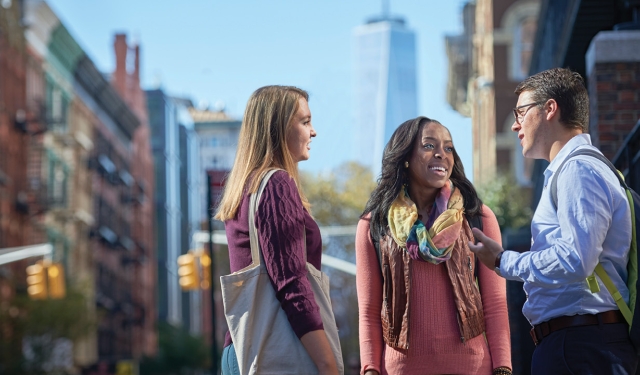 Graduate Degrees & Programs | NYU School of Law