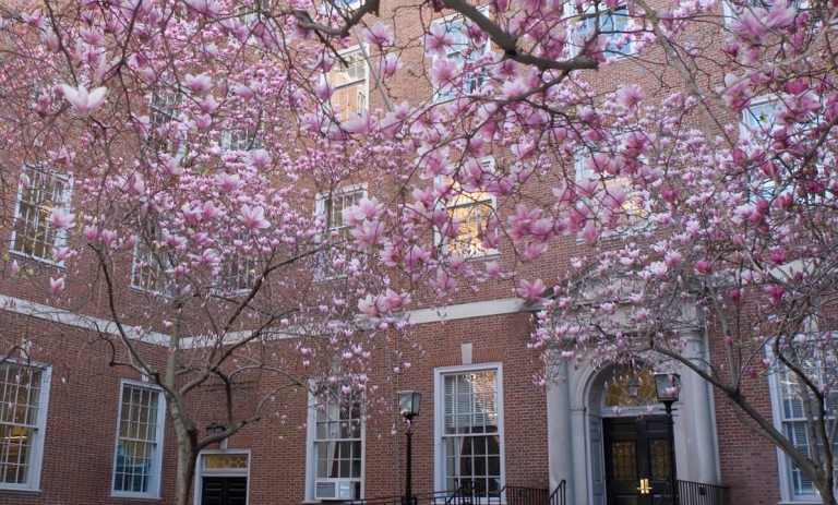 How to Apply | NYU School of Law