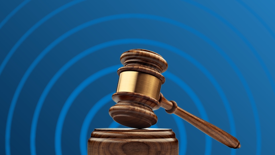 Judging the judges: Stephen Choi evaluates the impact of the judges ...